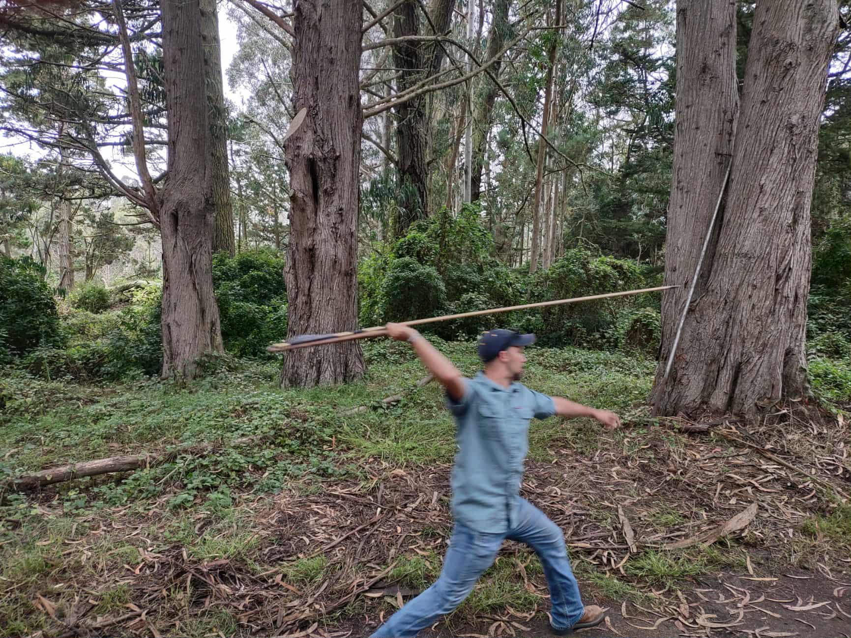 Why we Need “Primitive Hunters” – Strange cases of domestication