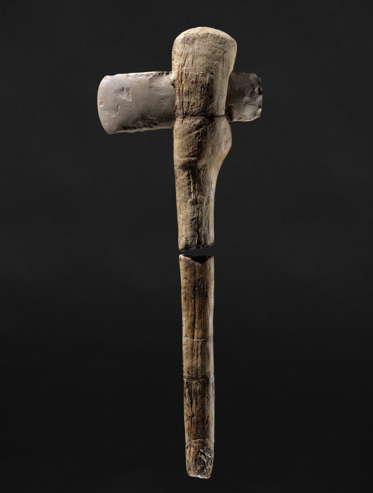 Stone Axes of the Neolithic – Strange cases of domestication